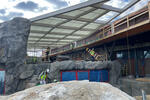 New Pepper Family Wildlife Center houses lions at Lincoln Park Zoo