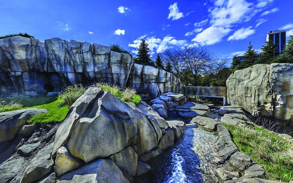 New Walter Arctic Tundra Exhibit at Lincoln Park Zoo